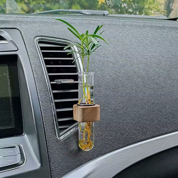 Wood & Glass Tube Car Bud Vases With Vent Clip – Terra Powders