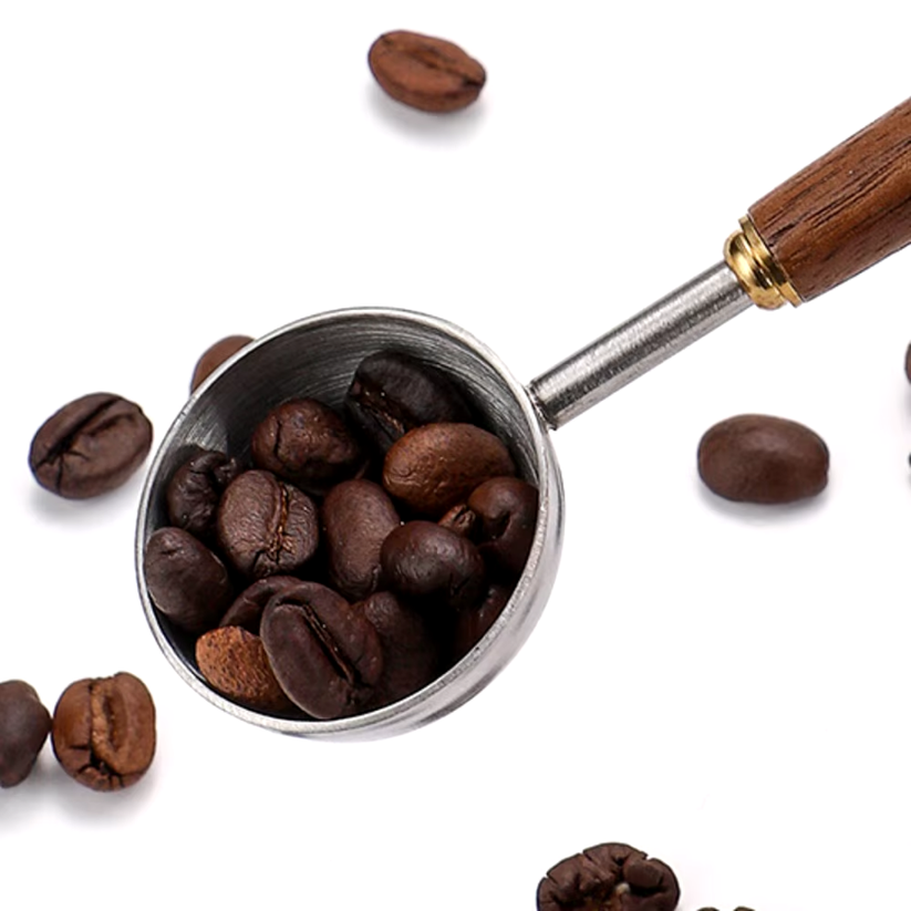 Luxury Barista Sleek Wood & Stainless Steel Coffee Scoops – Terra Powders